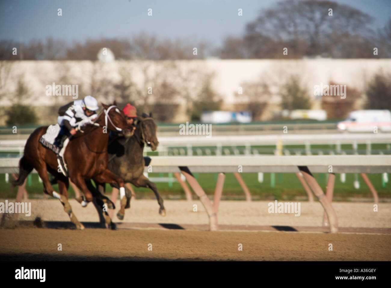Horse cart racing america hi-res stock photography and images - Alamy