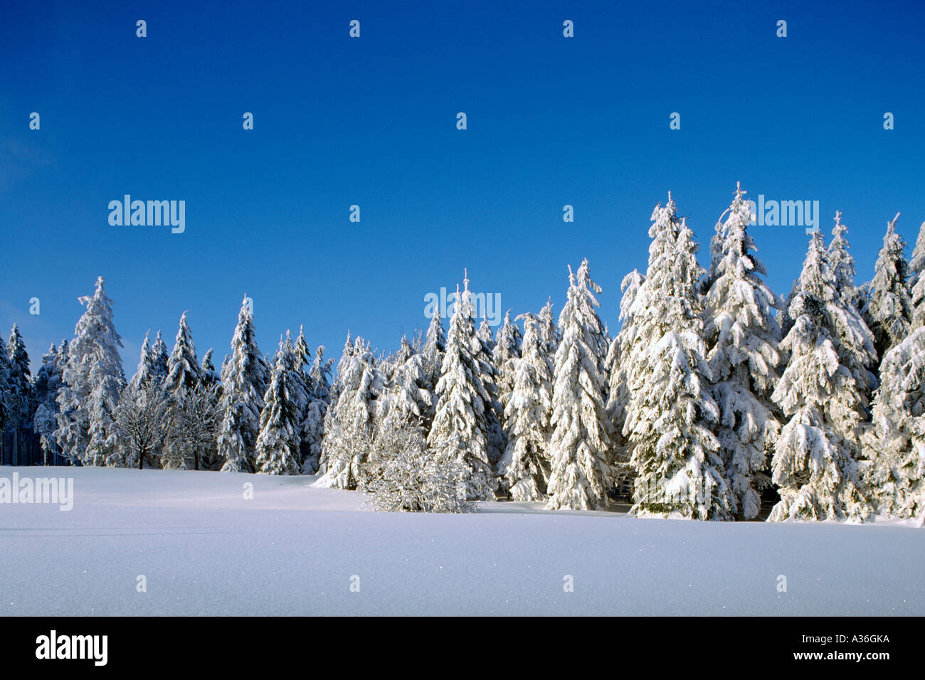 Rennsteig Oberhof Thuringia Germany Stock Photo - Alamy