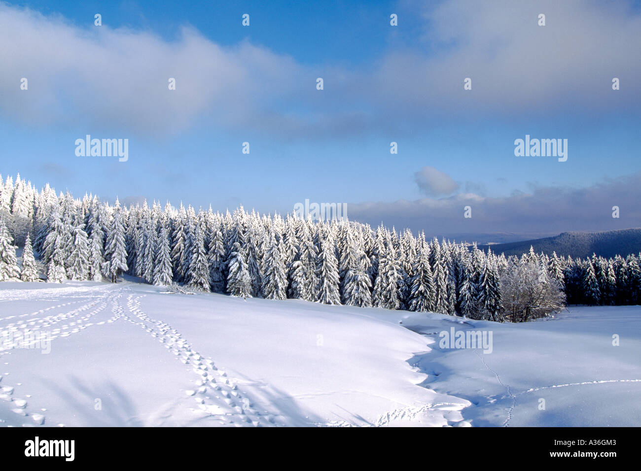 Oberhof thuringia germany hi-res stock photography and images - Alamy