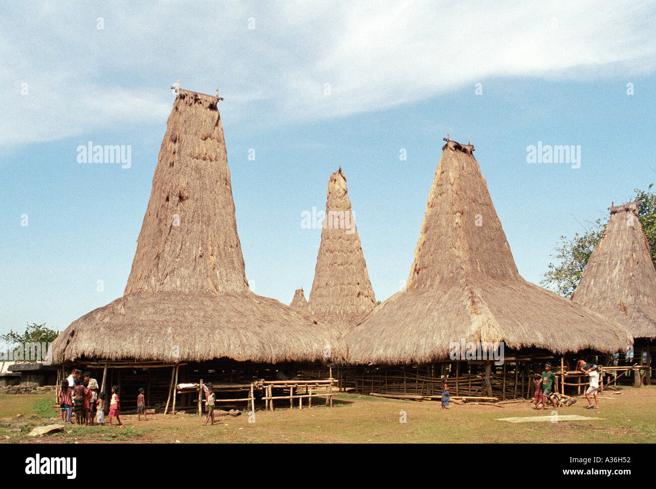 traditional vilage Sumba Island Indonesia South East Asia Stock Photo ...