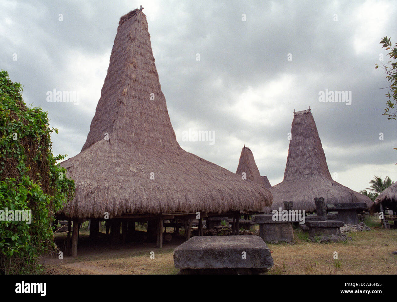 Sumba traditional architecture hi-res stock photography and images - Alamy