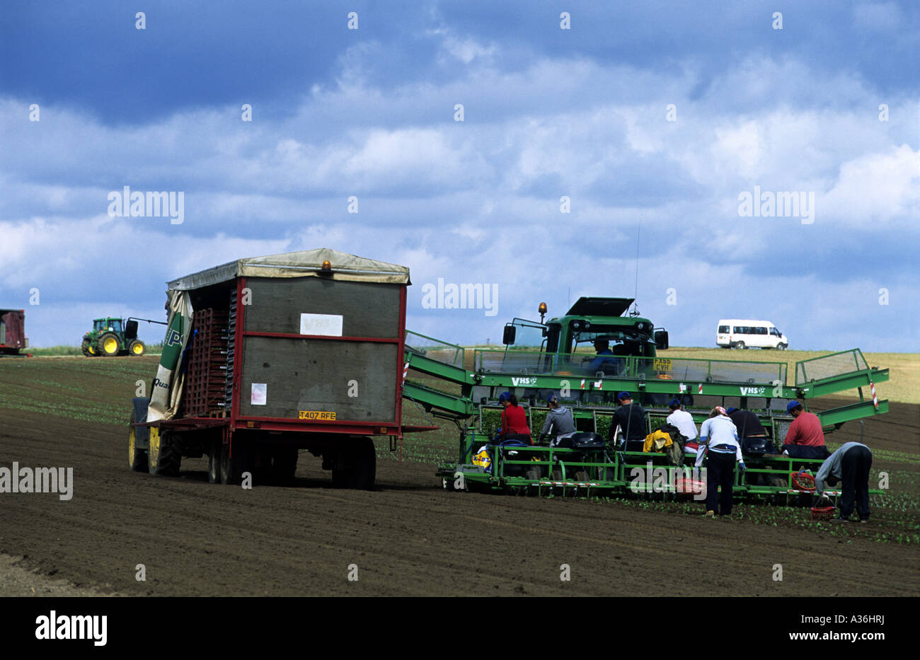 Eastern european gangs hi-res stock photography and images - Alamy