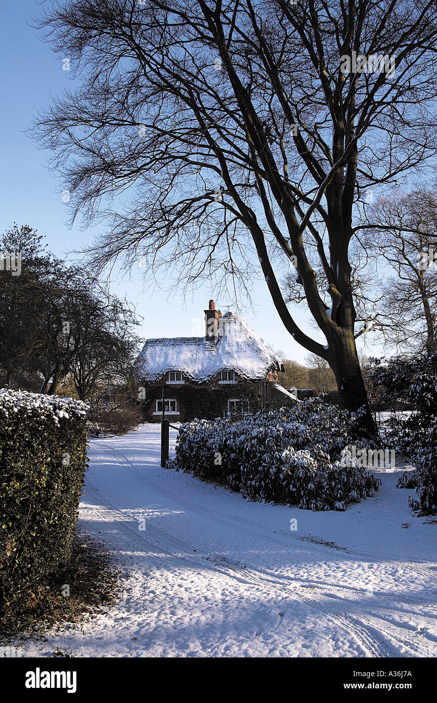 Baughurst hi-res stock photography and images - Alamy