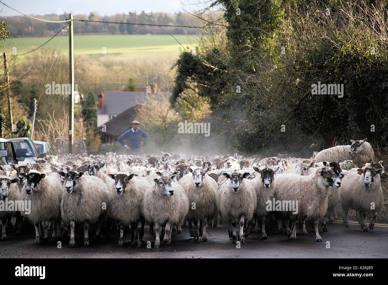 Overton hampshire england hi-res stock photography and images - Alamy