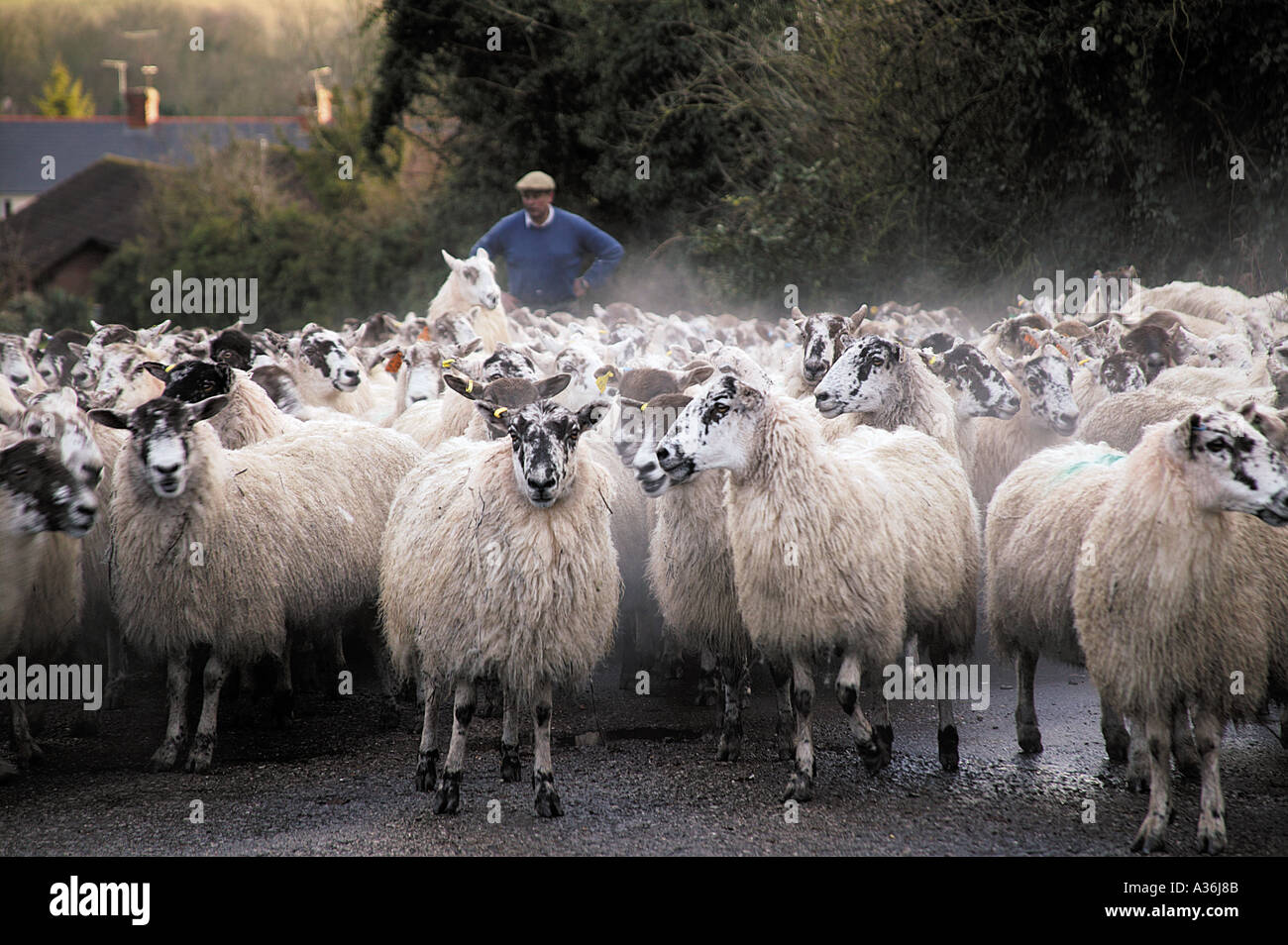 Overton hampshire england hi-res stock photography and images - Alamy