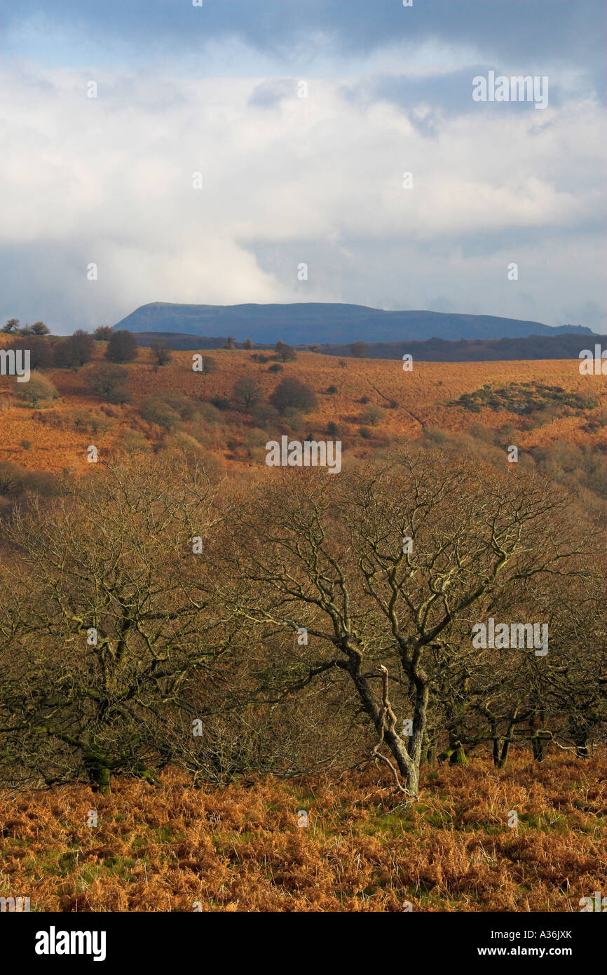 Skirrid Mountain High Resolution Stock Photography and Images - Alamy