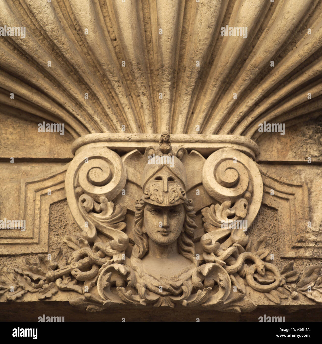 Stone carvings on a building Havana Cuba Stock Photo - Alamy