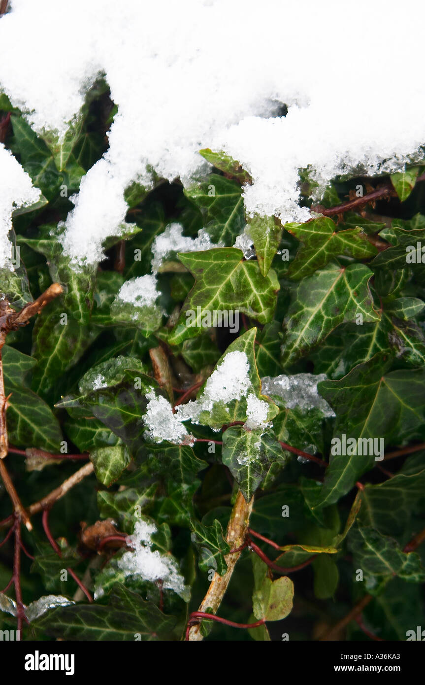Snow falls in Redhill Surrey Photograph Malcolm Case Green Stock Photo ...