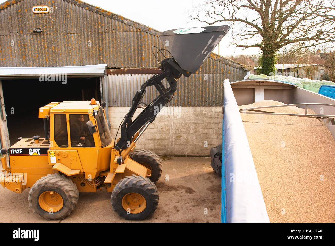 Digger loading a lorry with last summers grain going from a farm in ...