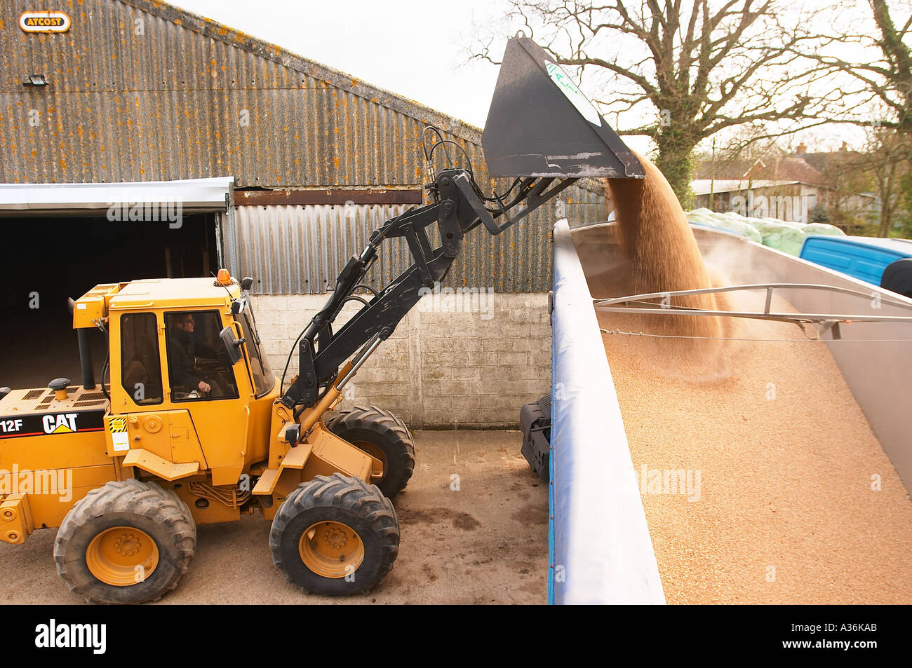Digger loading a lorry with last summers grain going from a farm in ...
