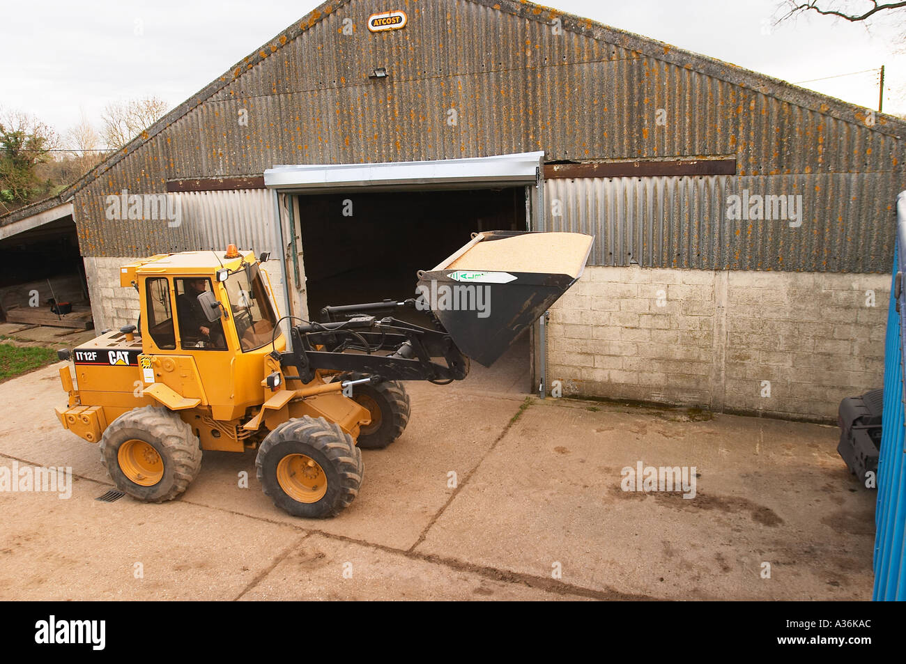 Digger loading a lorry with last summers grain going from a farm in ...