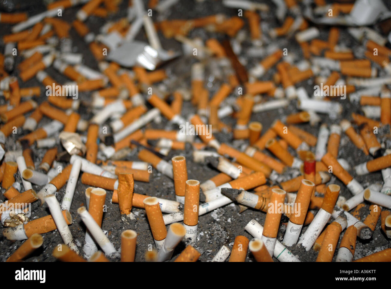 Cigarette filled ashtray, Rome Airport, Italy Stock Photo - Alamy
