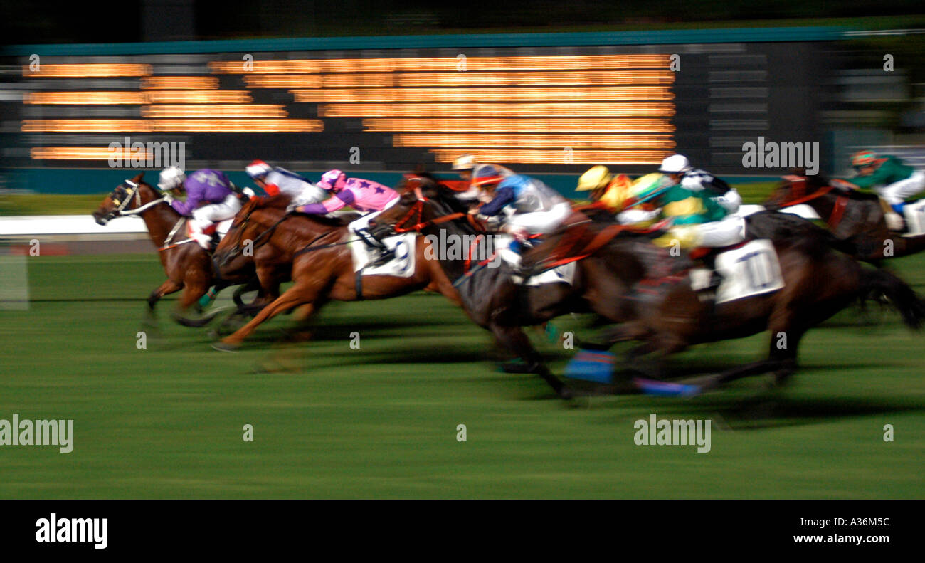 Happy Valley Races Stock Photo - Alamy