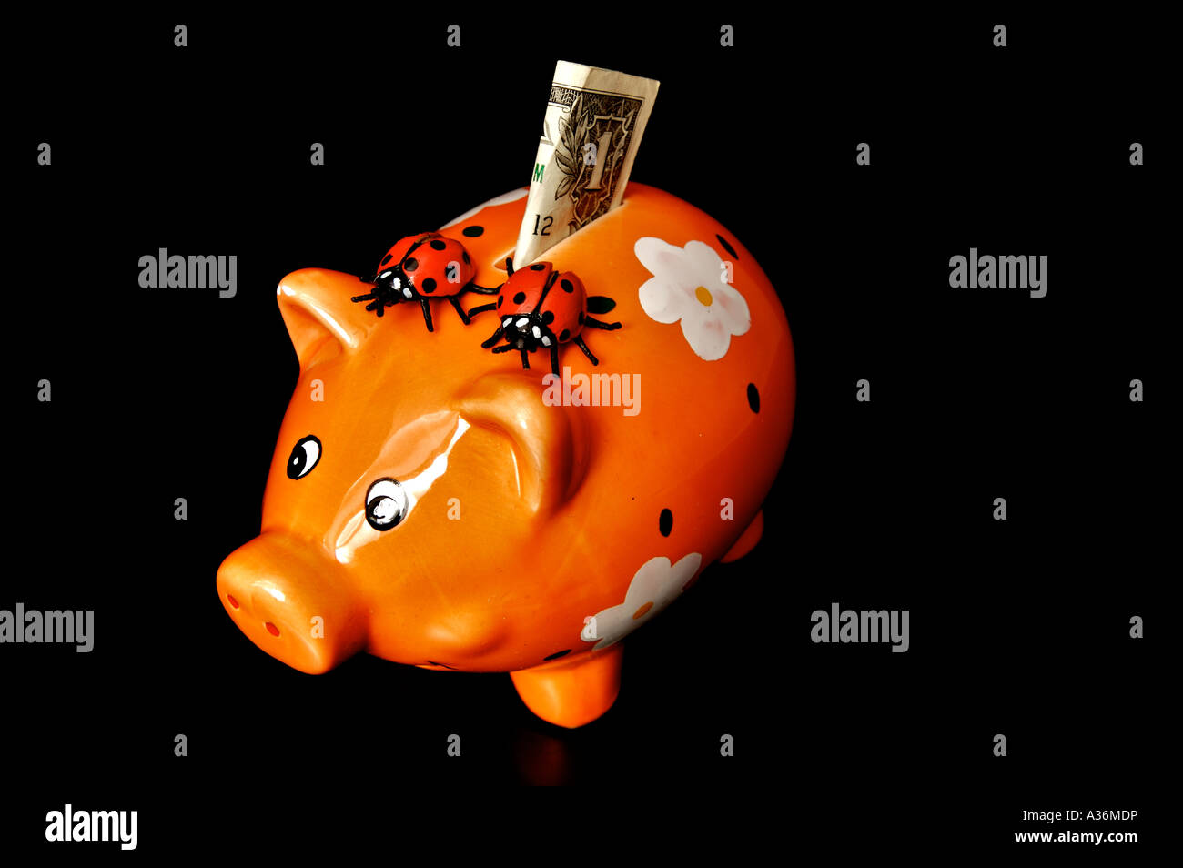 ladybug piggy bank Stock Photo - Alamy