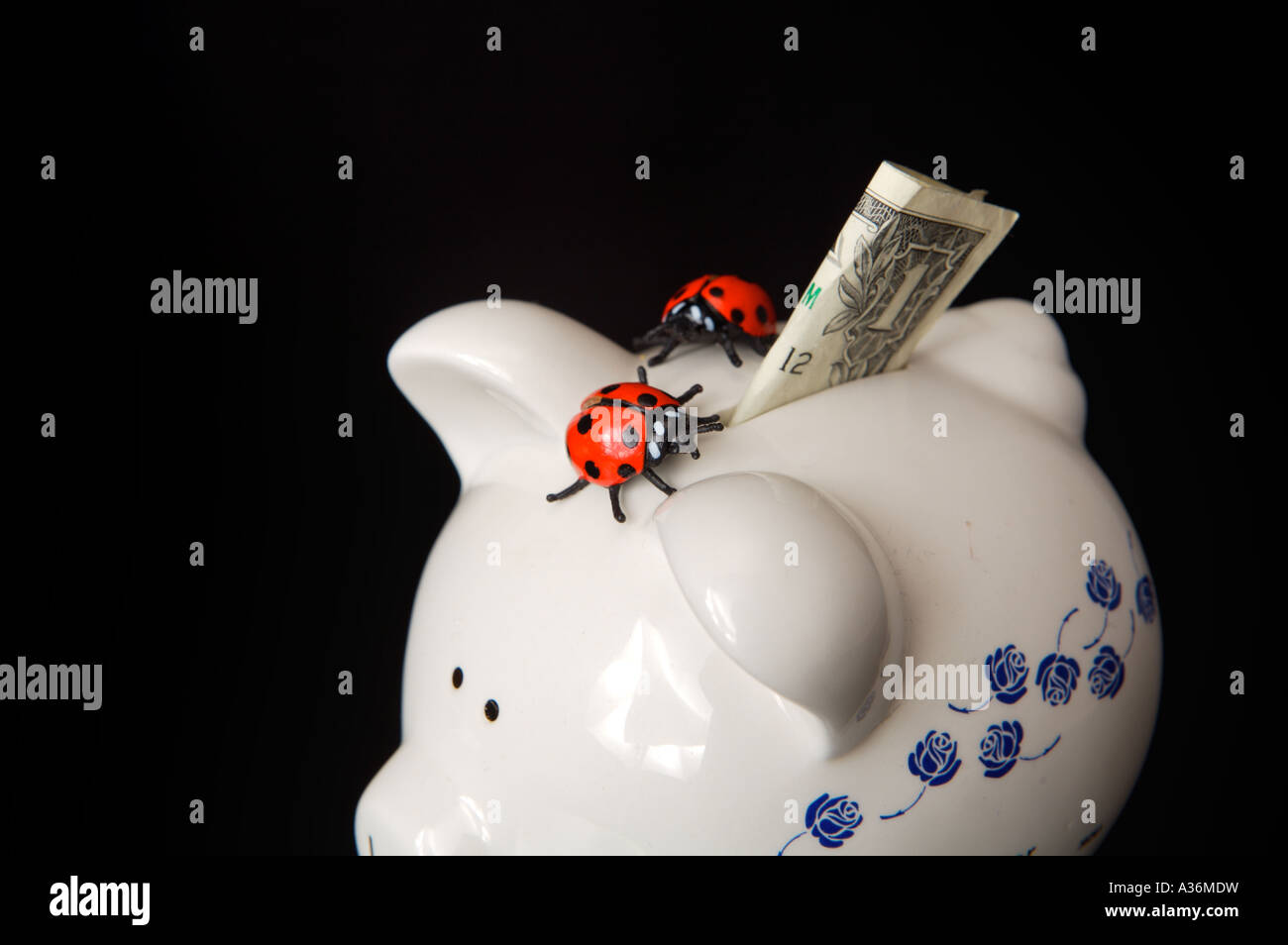 ladybug piggy bank Stock Photo - Alamy