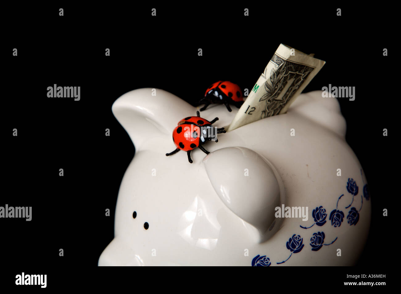 ladybug piggy bank Stock Photo - Alamy