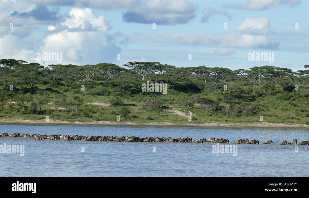 Trek migration hi-res stock photography and images - Alamy