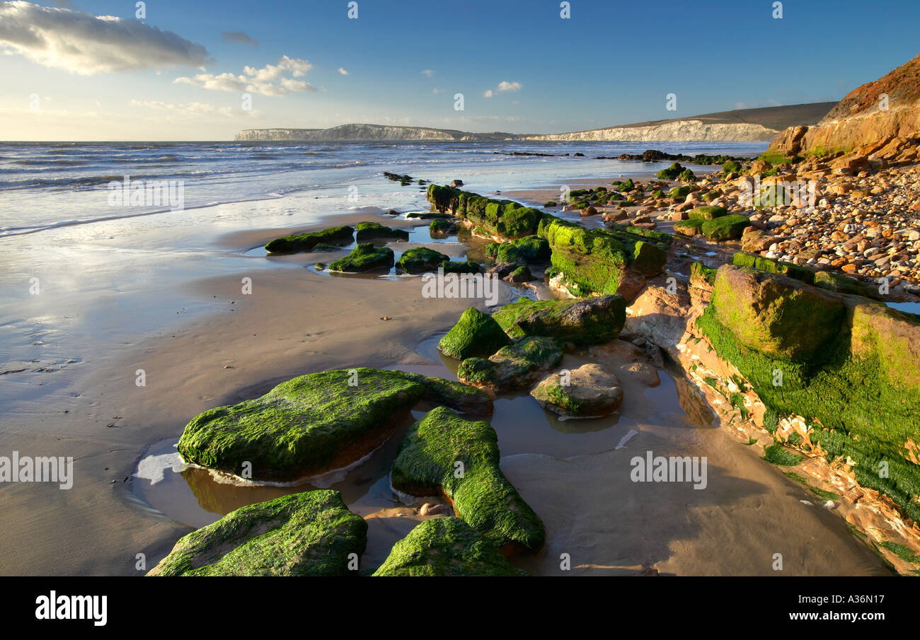 Compton Bay Isle of Wight Stock Photo - Alamy