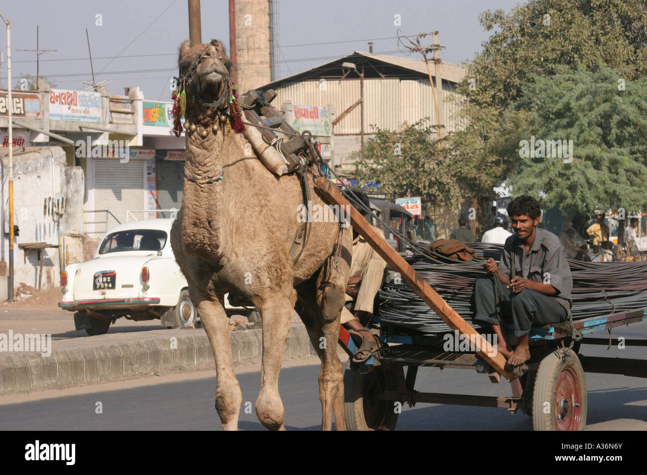Camel Cart High Resolution Stock Photography and Images - Alamy