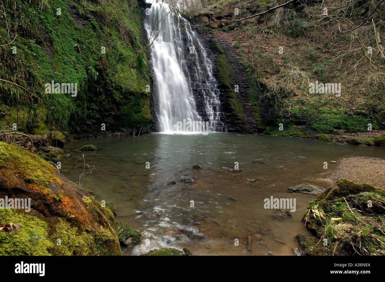 falling foss yorkshire Stock Photo - Alamy