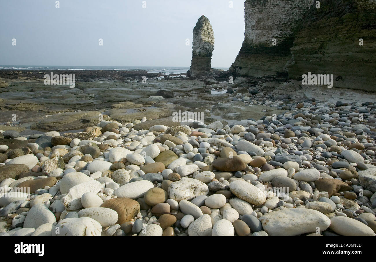 Flamborough head stack hi-res stock photography and images - Alamy