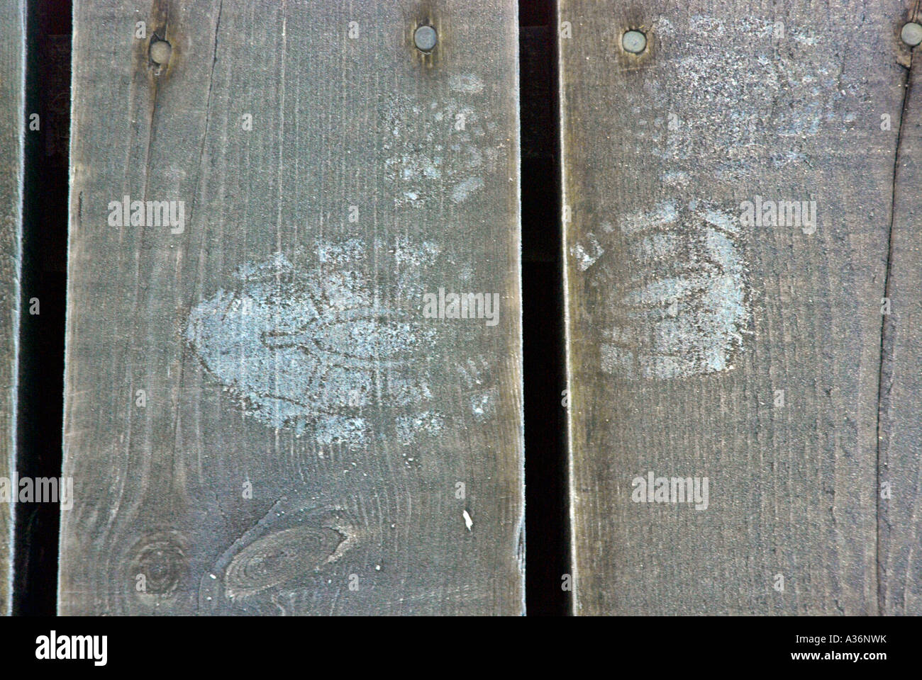 Forensic footwear evidence hi-res stock photography and images - Alamy