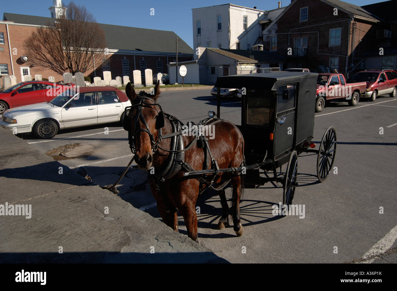 A buggy for an Amish is their main means of transport Stock Photo - Alamy