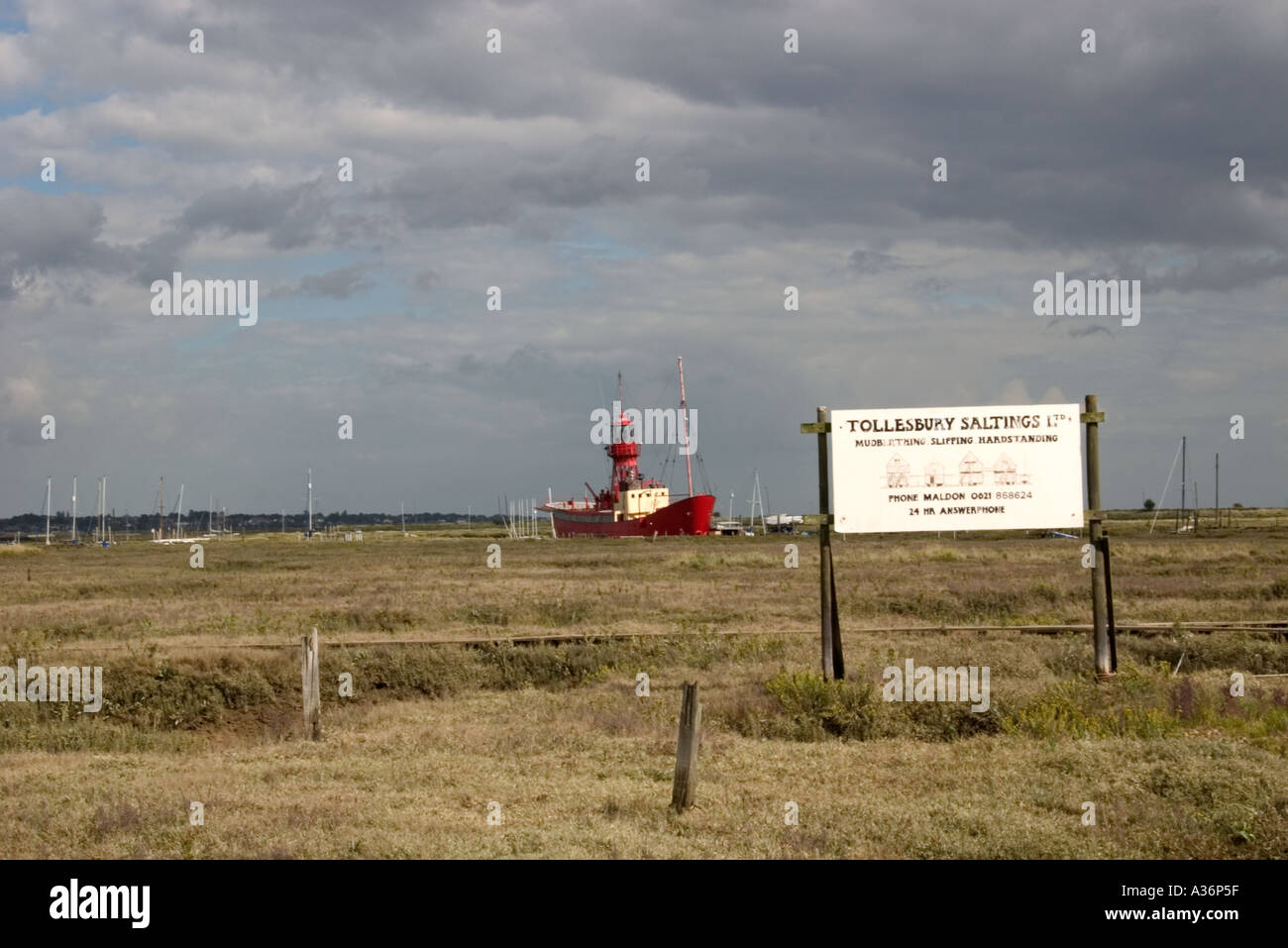 The Saltings Tollesbury Stock Photo - Alamy