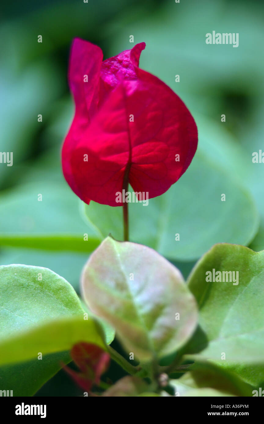 Damn hi-res stock photography and images - Alamy