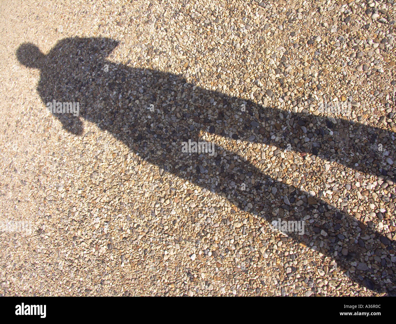 S long legs hi-res stock photography and images - Alamy