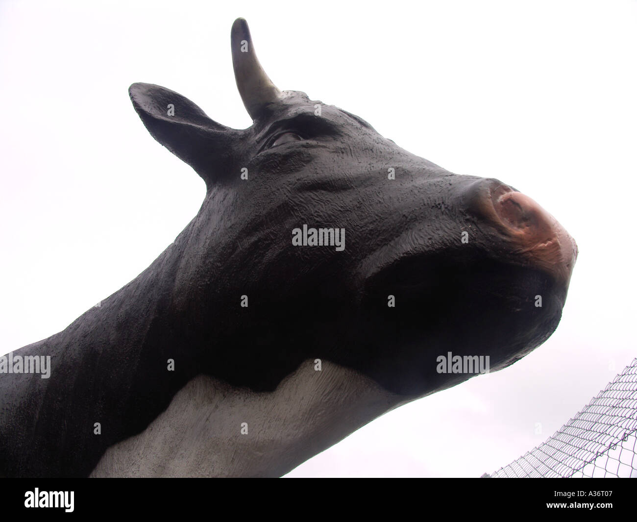 Concrete life size model black and white cow Stock Photo - Alamy