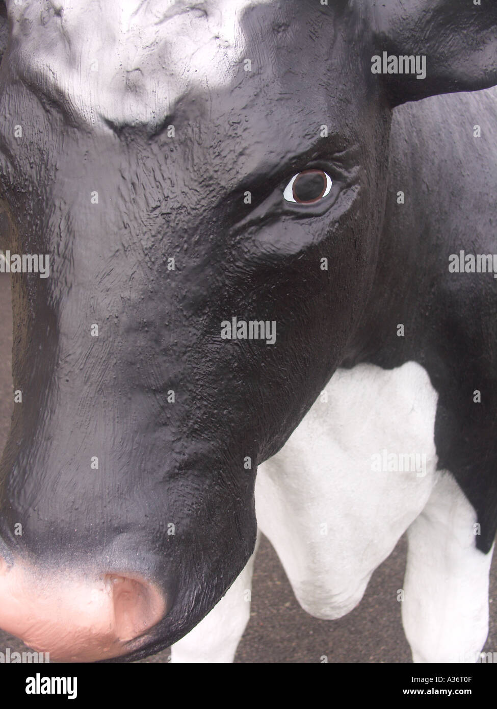 Concrete life size model black and white cow Stock Photo - Alamy