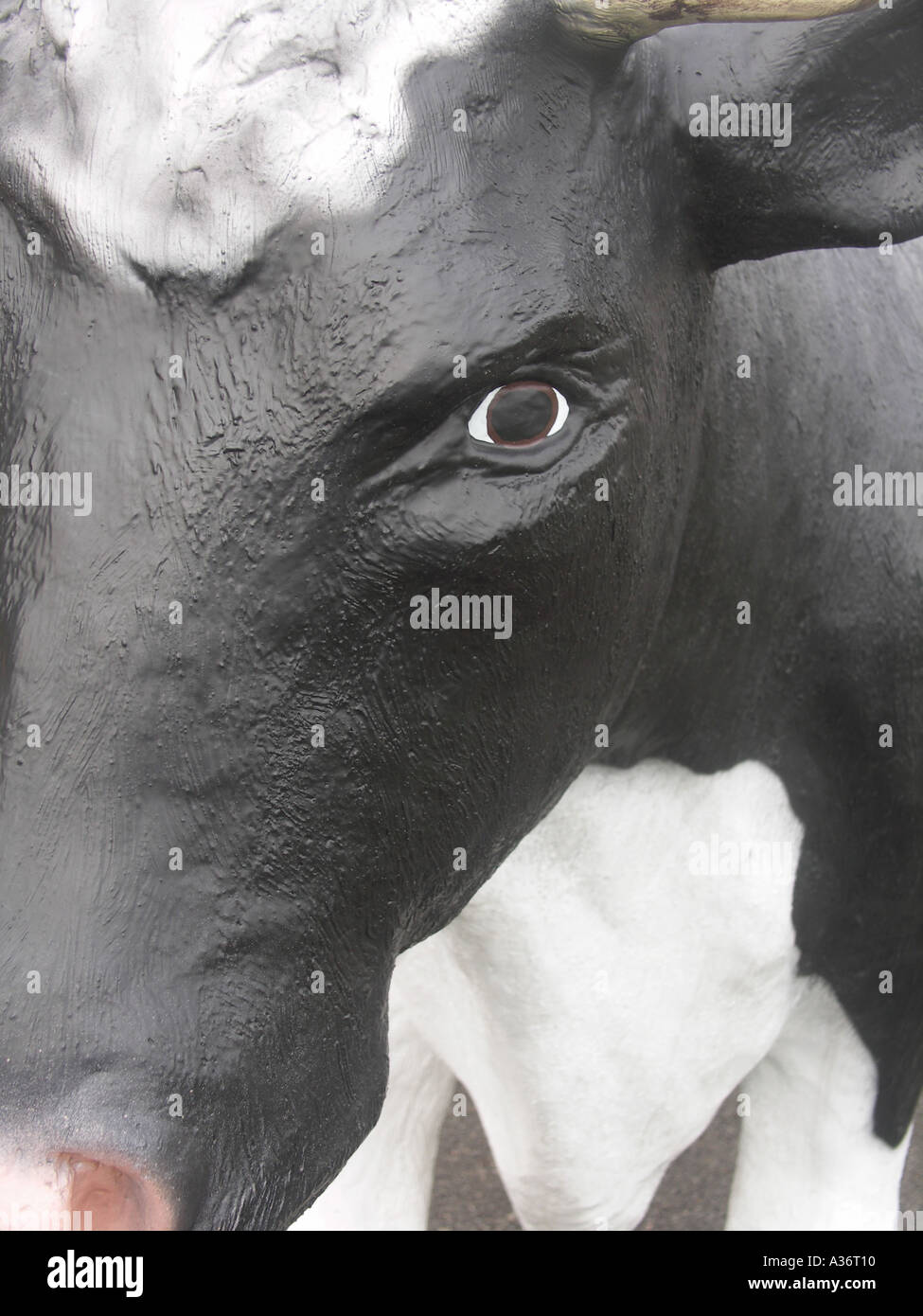 Concrete life size model black and white cow Stock Photo - Alamy