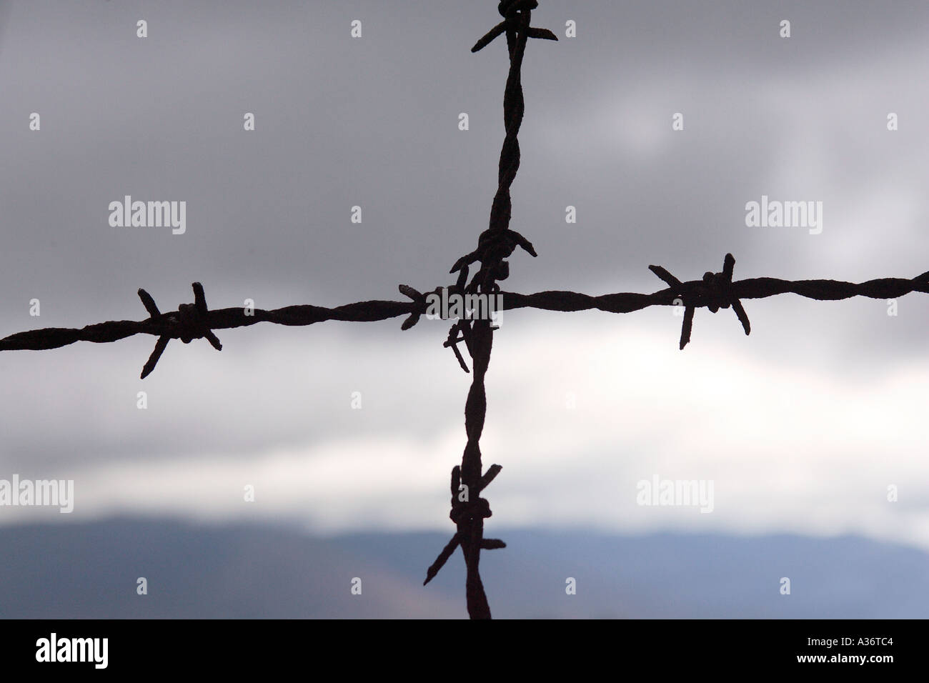 Barbed wire at an old Nazi concentration camp in France Stock Photo - Alamy