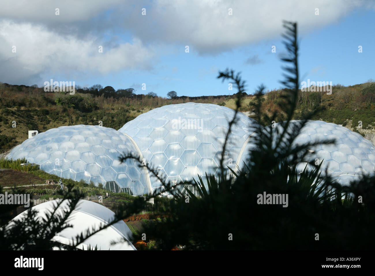 The eden project bio dome, cornwall Stock Photo - Alamy