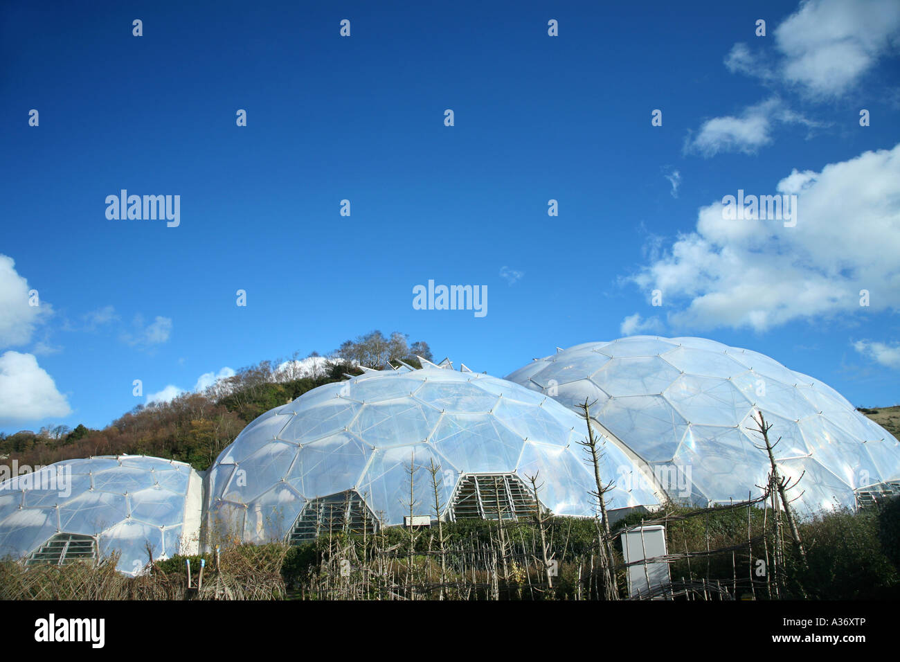The eden project bio dome Stock Photo - Alamy