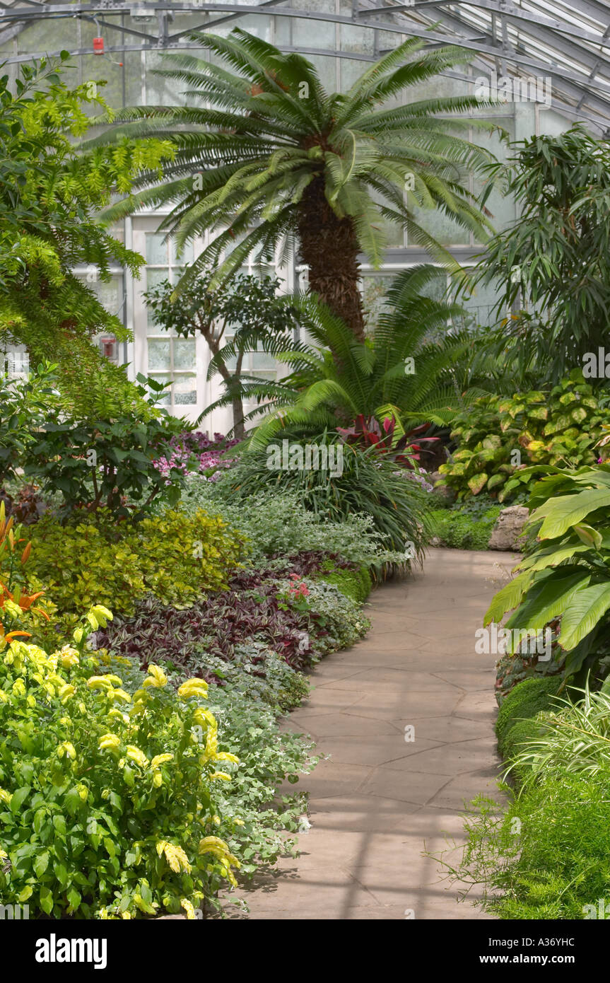 Allan Gardens Conservatory, Toronto, Ontario, Canada. The Palm House ...