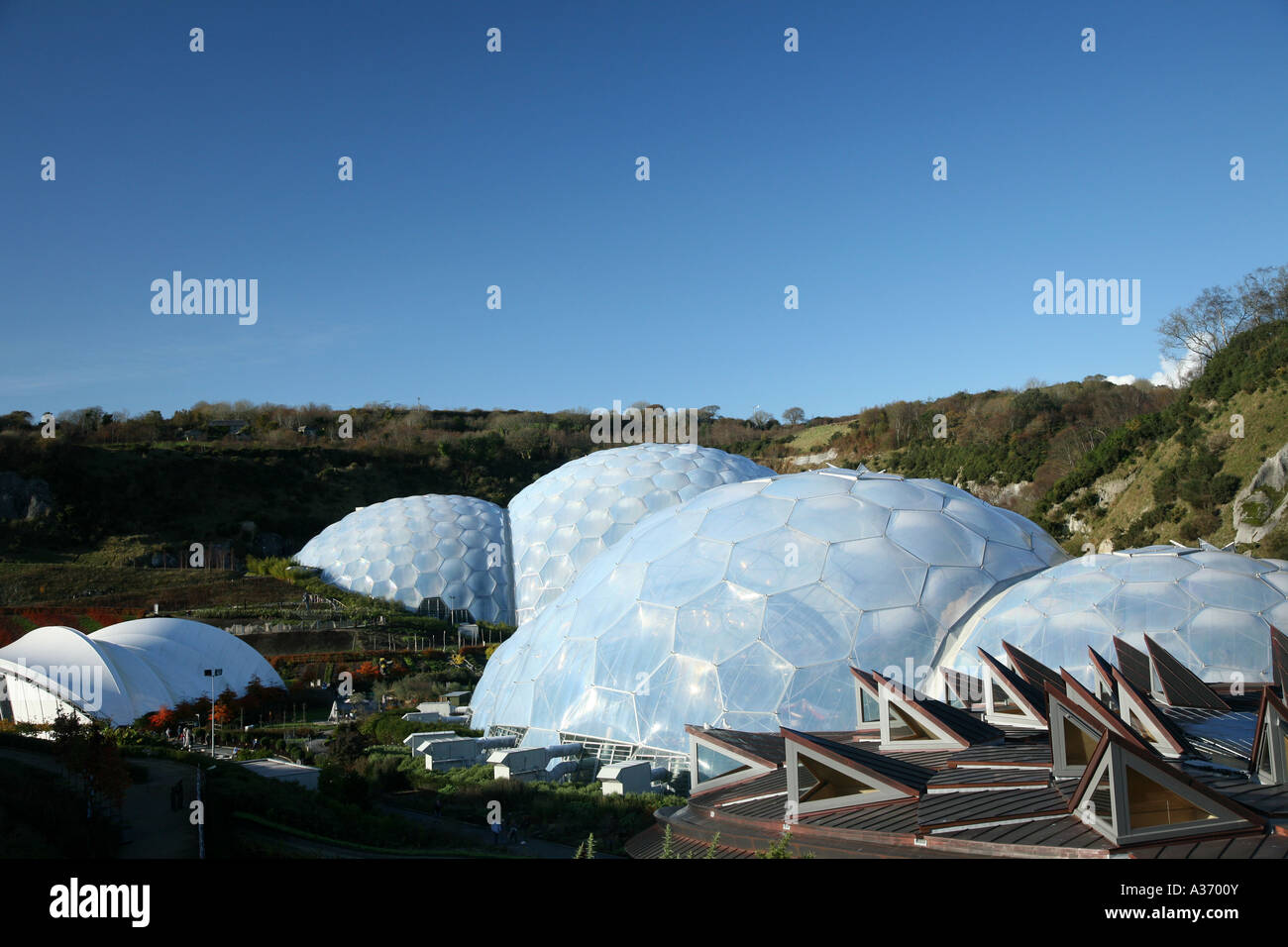 The eden project in cornwall Stock Photo - Alamy