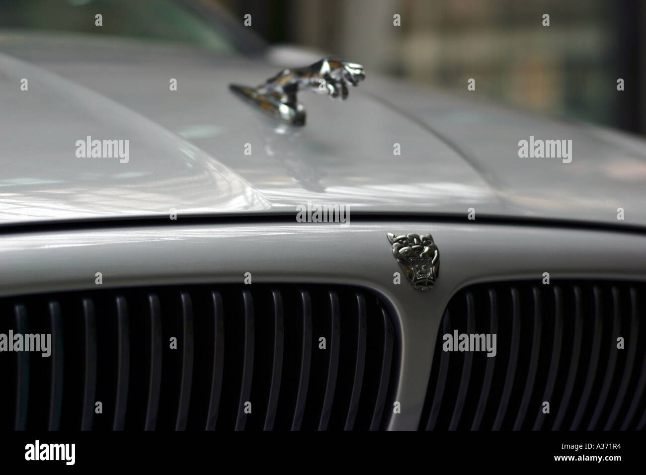 Jaguar car logo hi-res stock photography and images - Alamy