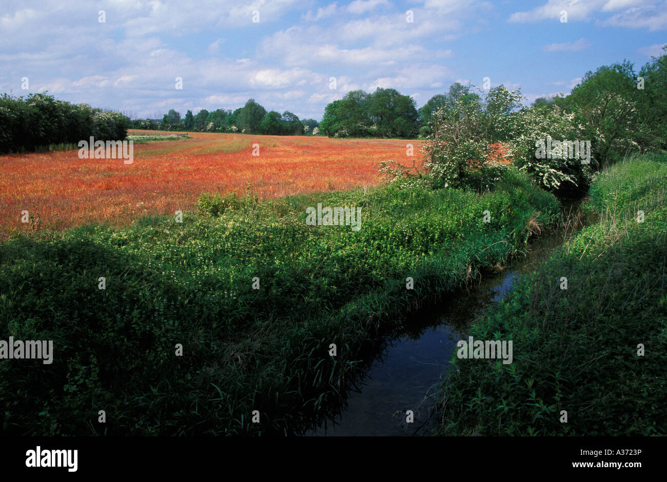 Set aside fields hi-res stock photography and images - Alamy