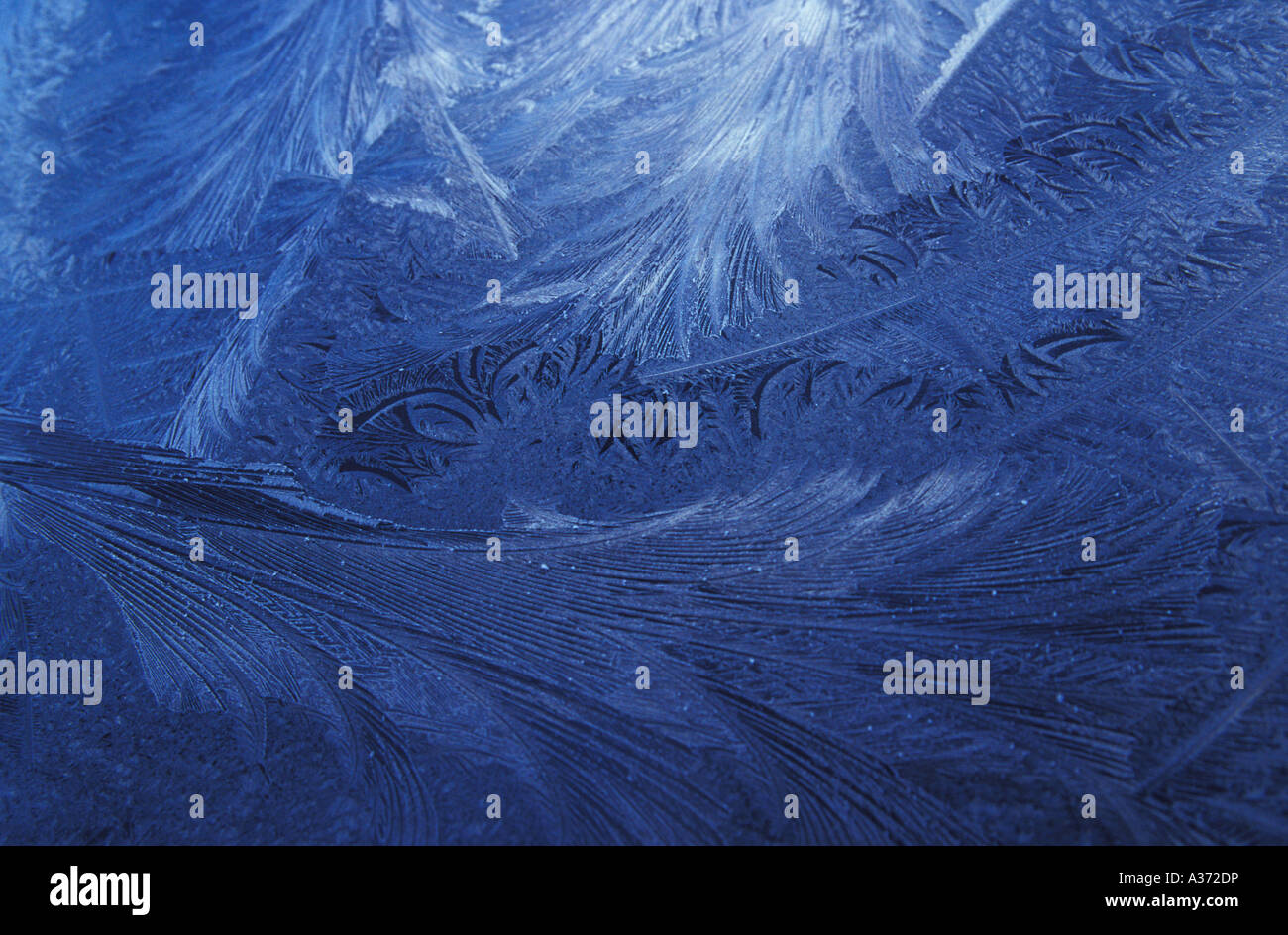Ice Patterns on car windscreen Stock Photo - Alamy
