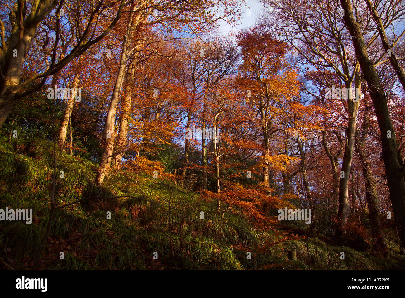 Dingle anglesey hi-res stock photography and images - Alamy