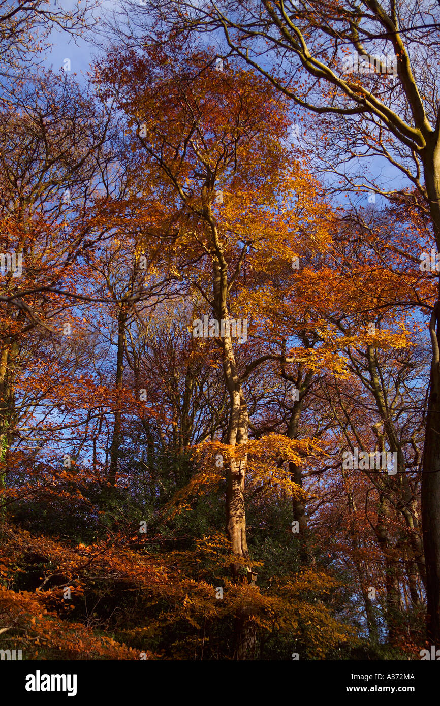 Dingle anglesey hi-res stock photography and images - Alamy