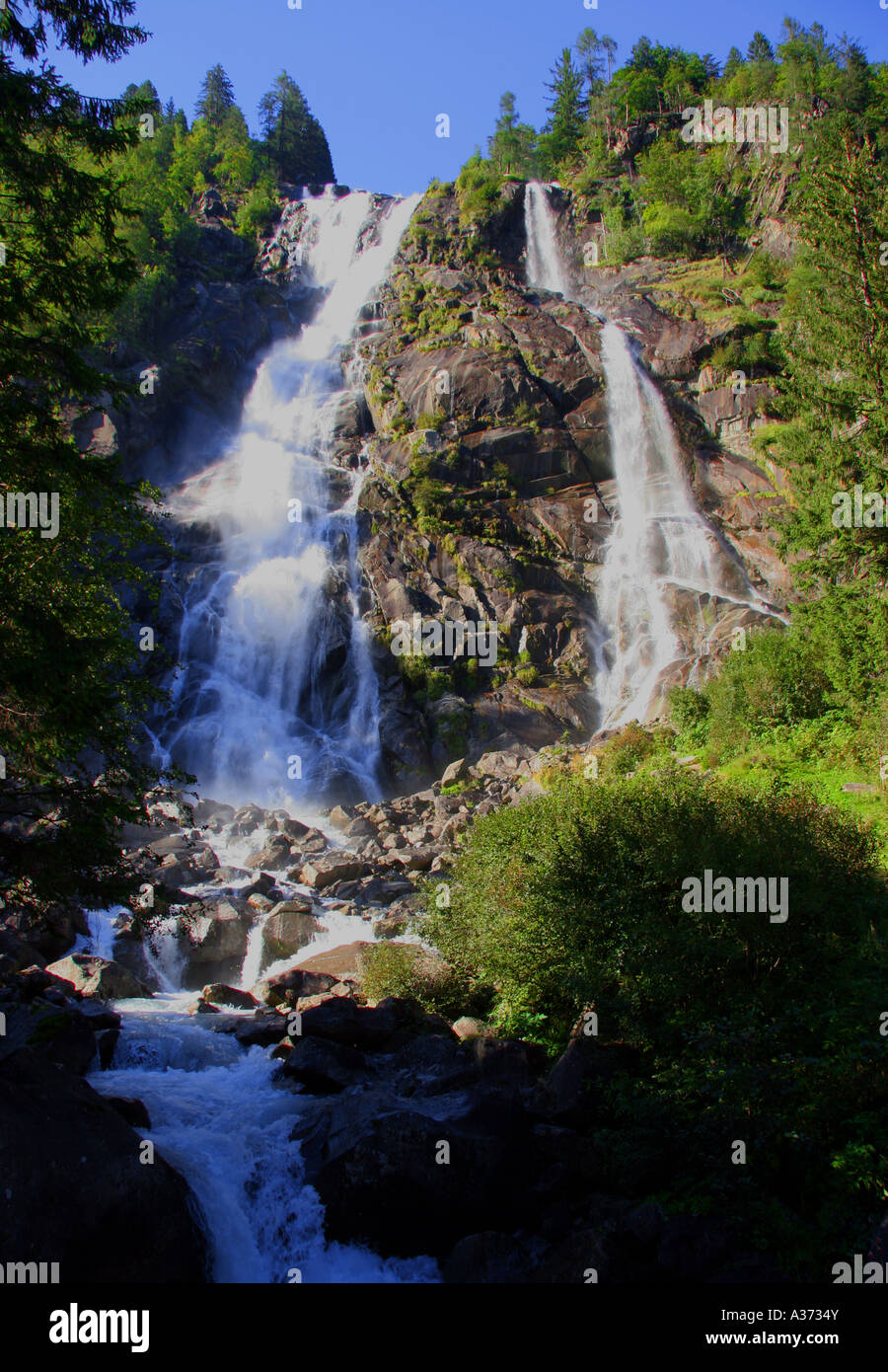 Nardis hi-res stock photography and images - Alamy
