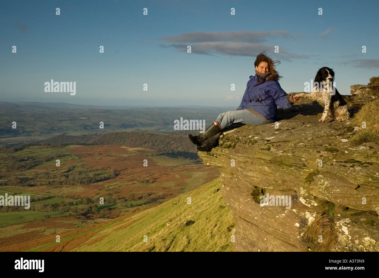 Walker and Dog Twmpa Black Mountains Brecon Beacons Mid Wales Stock ...