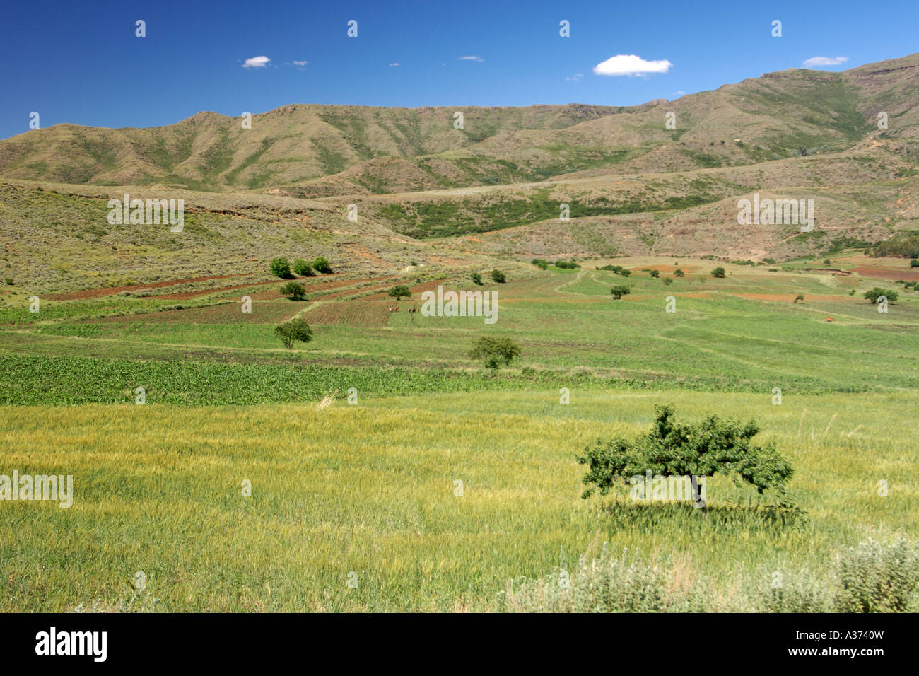 Scenery along the road to Semonkong in the mountain kingdom of Lesotho ...