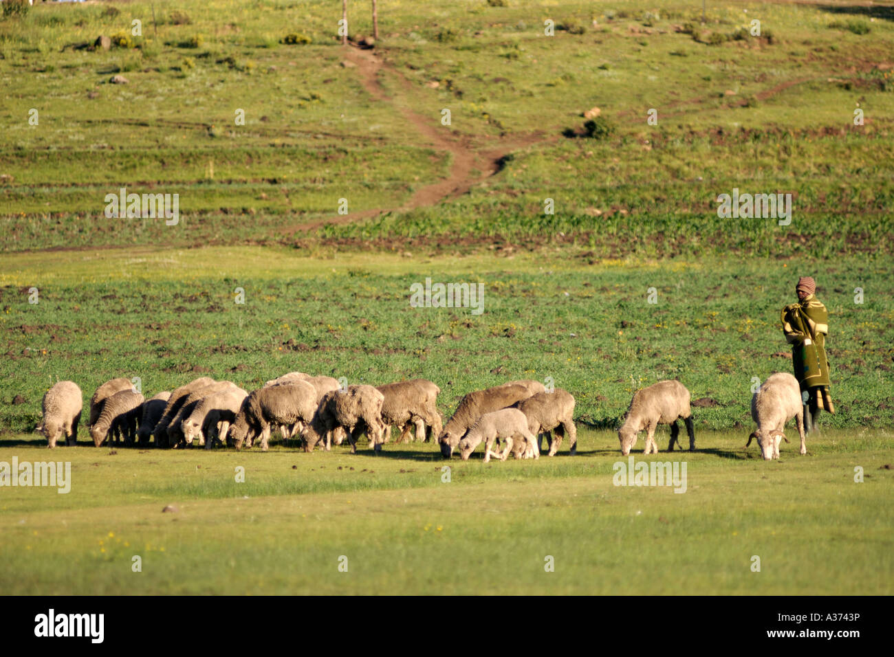Basotho High Resolution Stock Photography and Images - Alamy