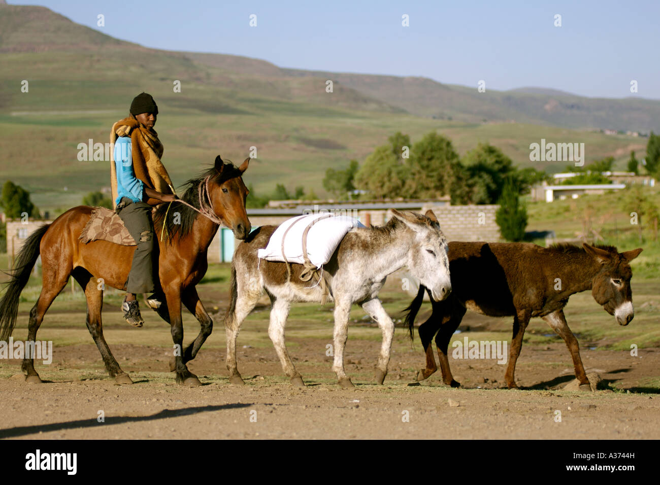 A Basotho man on horseback in the village of Semonkong in Lesotho Stock ...