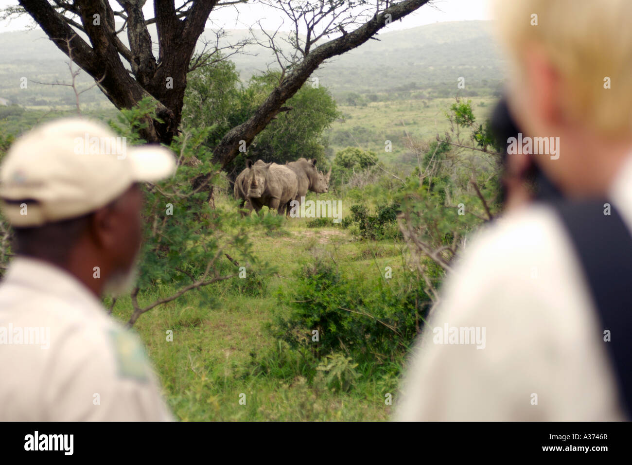 Qwabe hi-res stock photography and images - Alamy