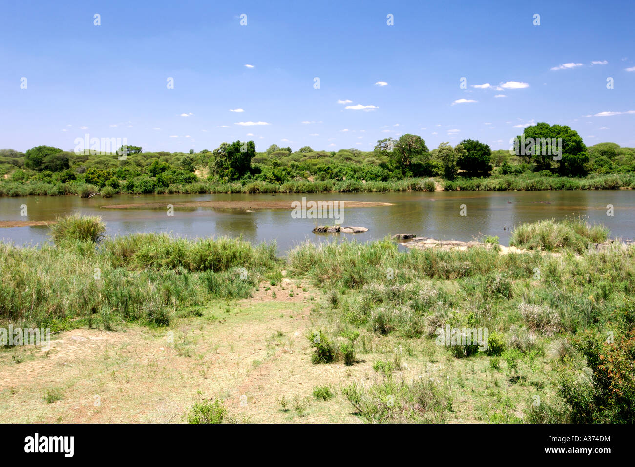 The Sabie River in South Africa's Kruger National Park Stock Photo - Alamy